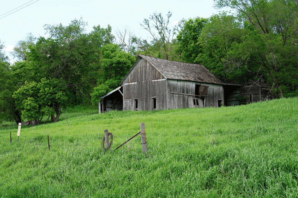 I Love Old Barns | Portraits by C